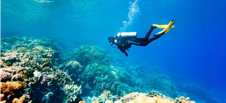 Albatros Diving Cala Bona | Thomas Cook
