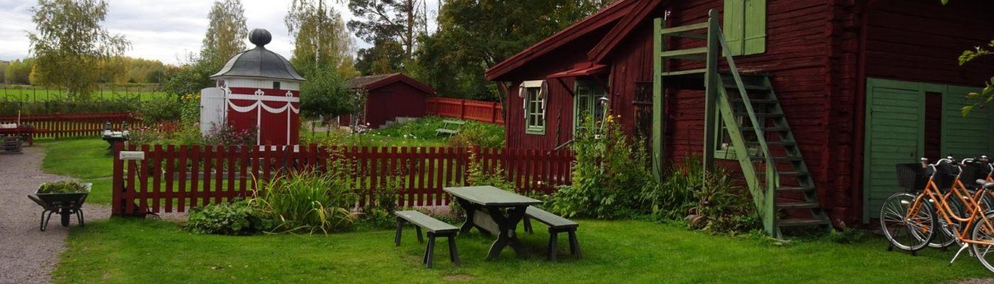 Forests, Fika & Northern Lights: 5 Reasons to Love Sweden | Blog