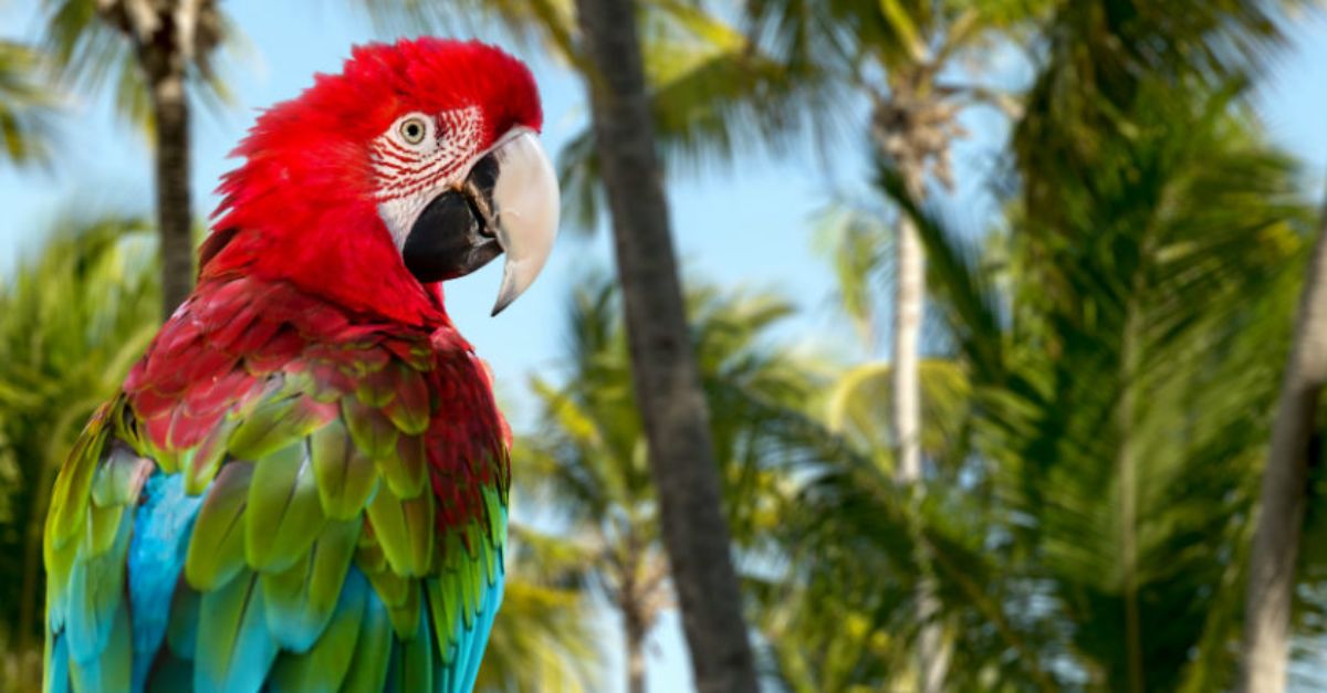 Indigenous Eyes Ecological Park | Thomas Cook